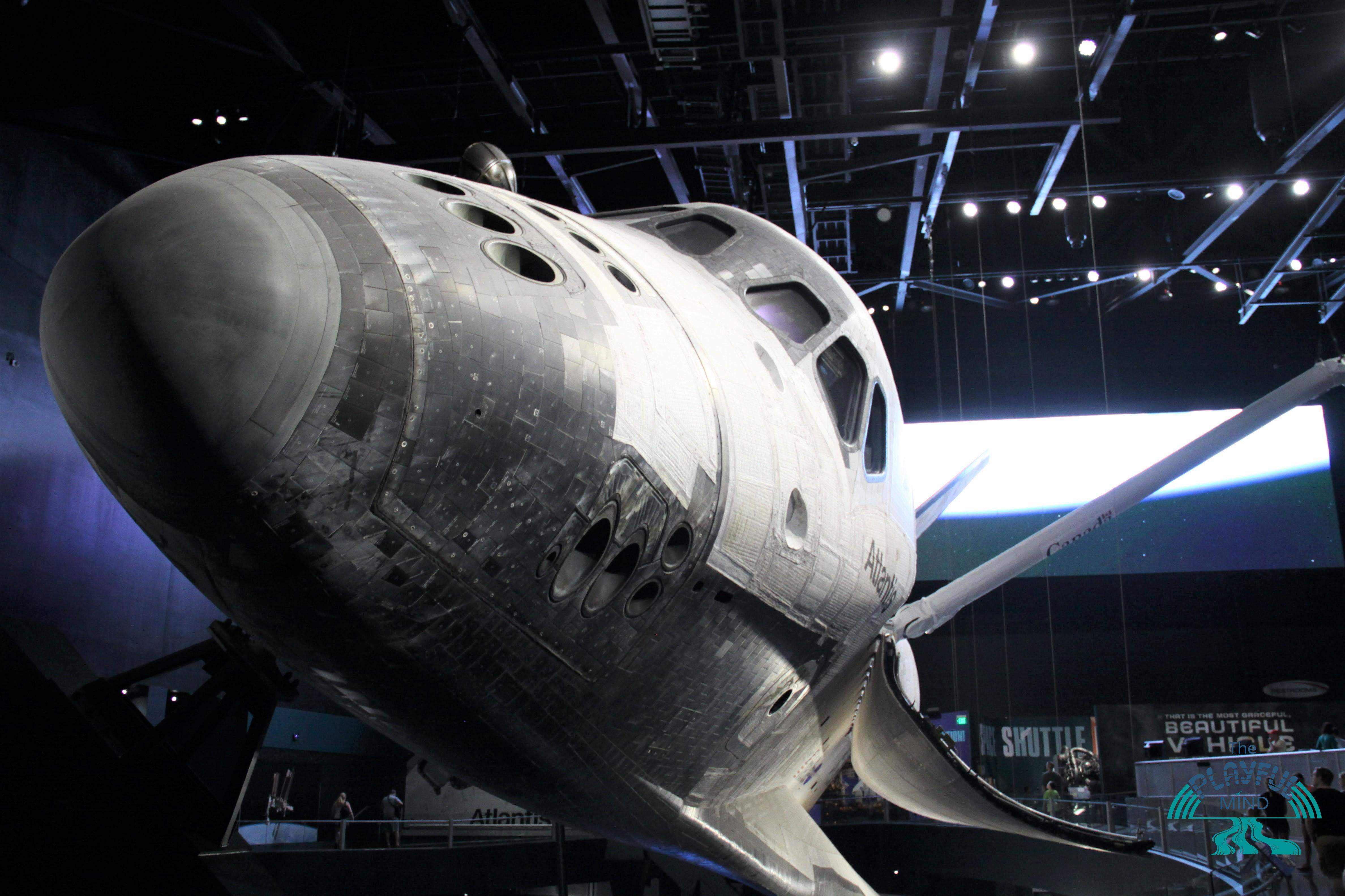 Growing Plants in Space: Astronaut Gardening at Home